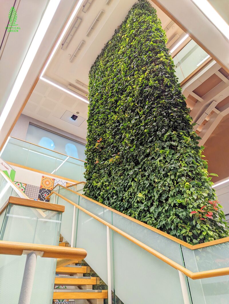 Creating Your Perfect Indoor Vertical Green Garden