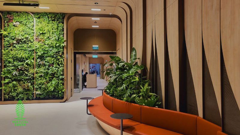 Improve Your Indoor Air Quality with NASA-Recommended House Plants ...