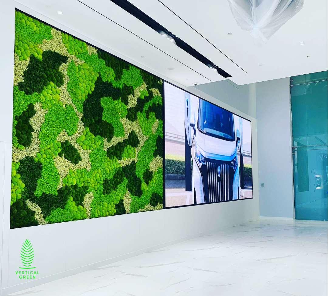BYD Denza Showroom - Vertical Green